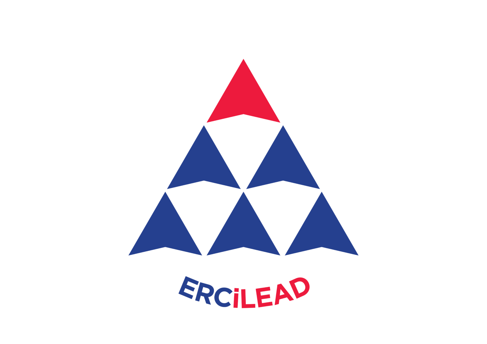 [CN] Why ERCI? | ERC Institute